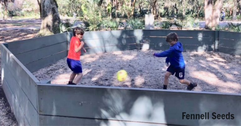 Gaga Ball - Quick Start Guide And How To Play